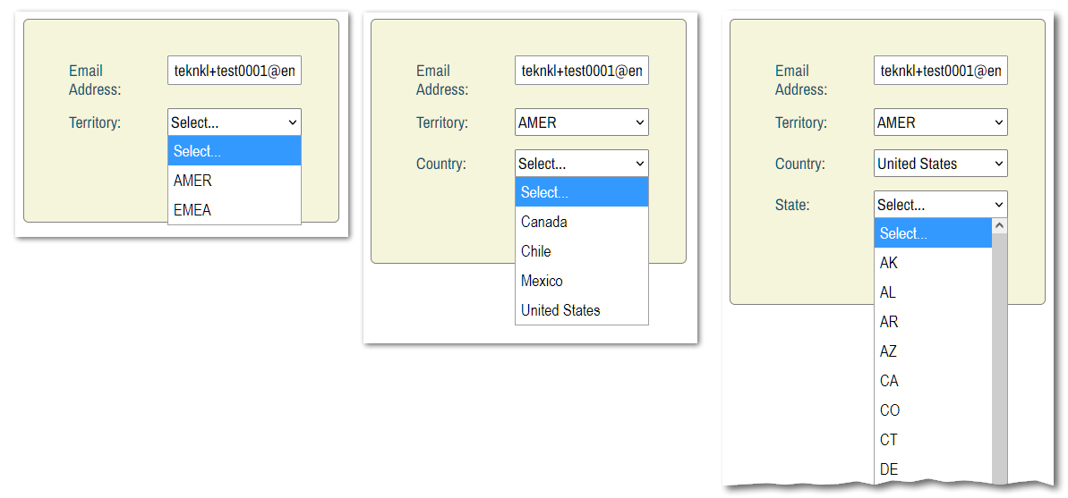 Enhancing form Select elements using the Chosen JS plugin — TEKNKL :: Blog